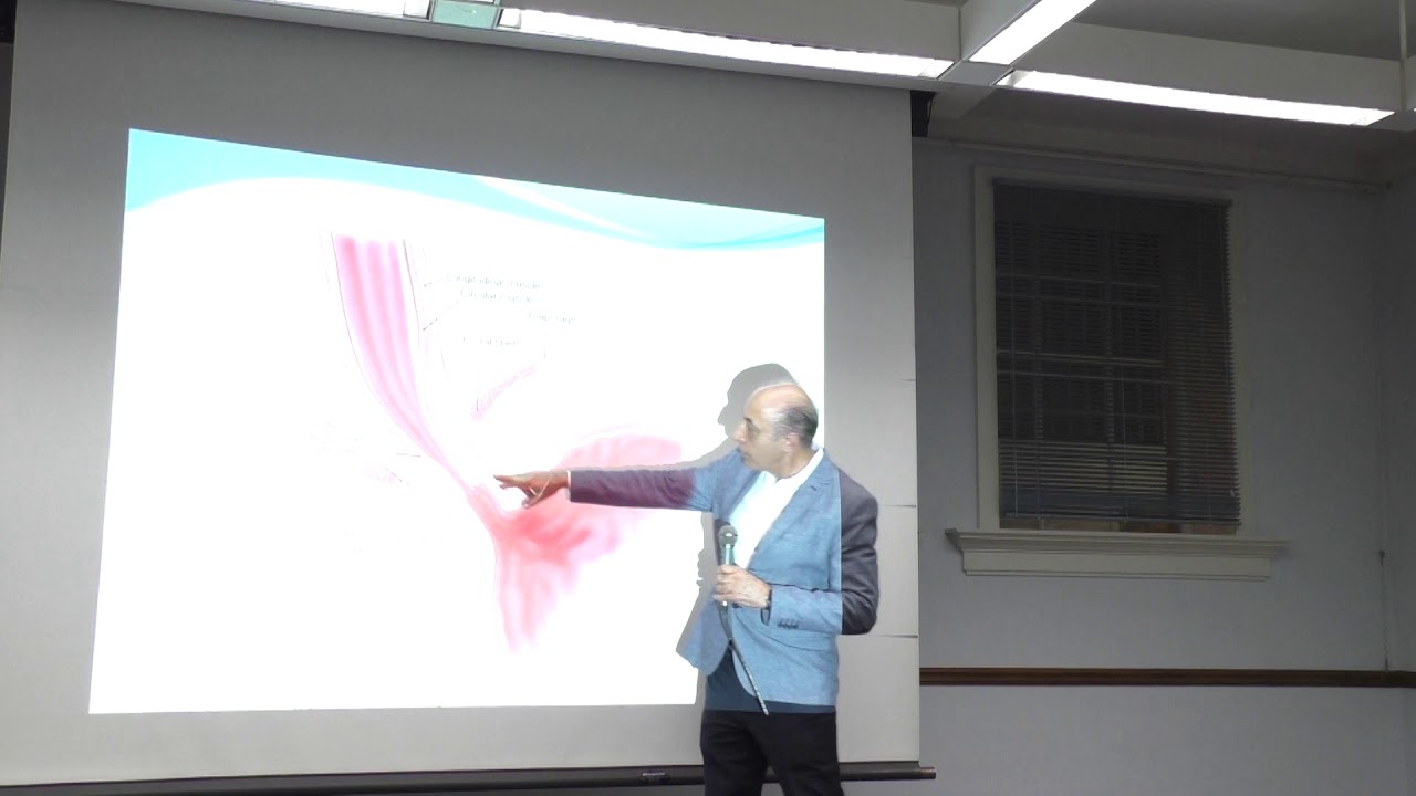 Gastroesophageal Reflux Disease with Dr. Farshid "Sam" Rahbar ...