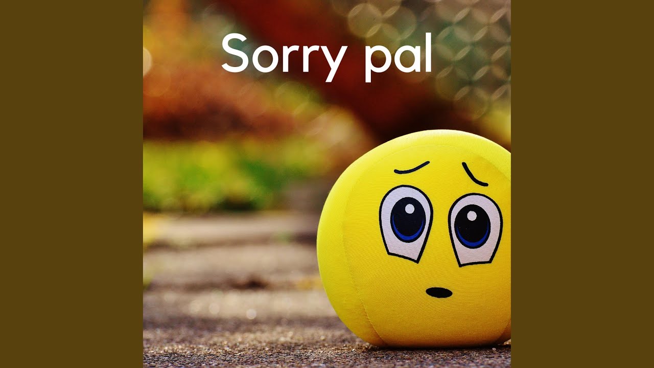 Sorry Pal - YouTube