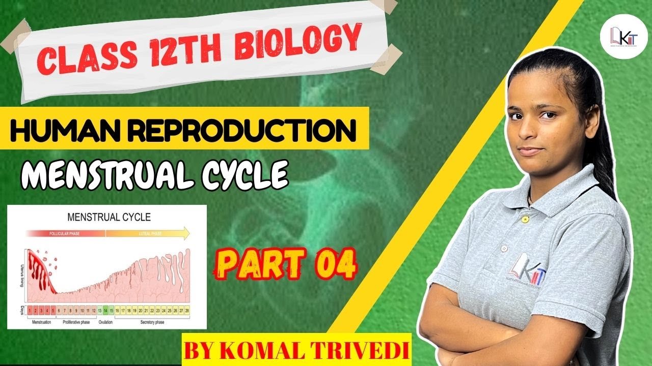 Menstrual Cycle Part 4 | Class 12 Biology | By Komal Ma’am | NEET ...