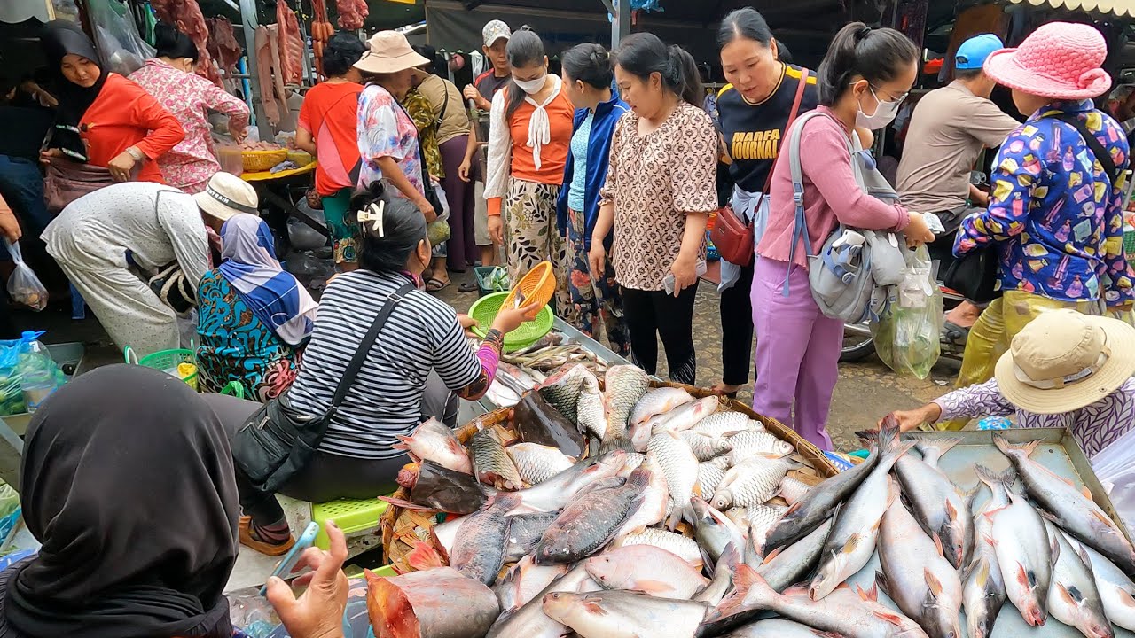 Amazing Cambodian Live Food Market Scenes - Fresh Fish, Pork, Fruits ...
