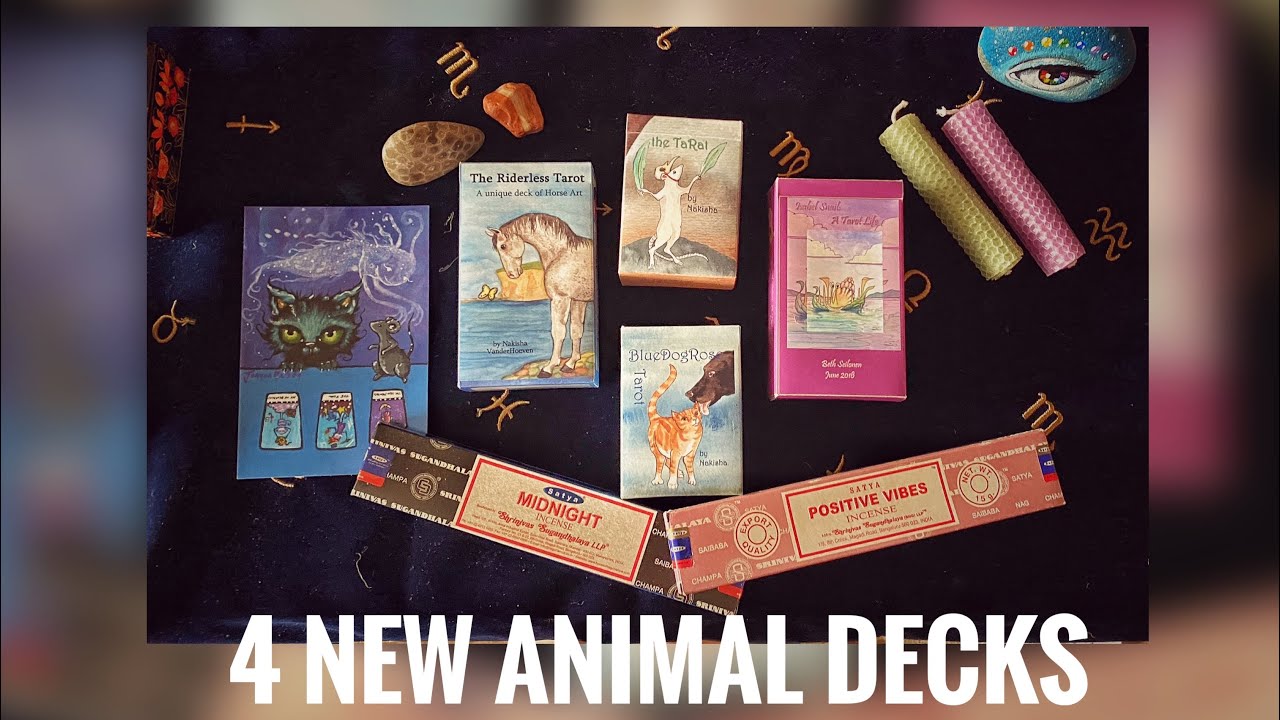 4 New Animal Decks ~ A Kind & Generous Gift - YouTube
