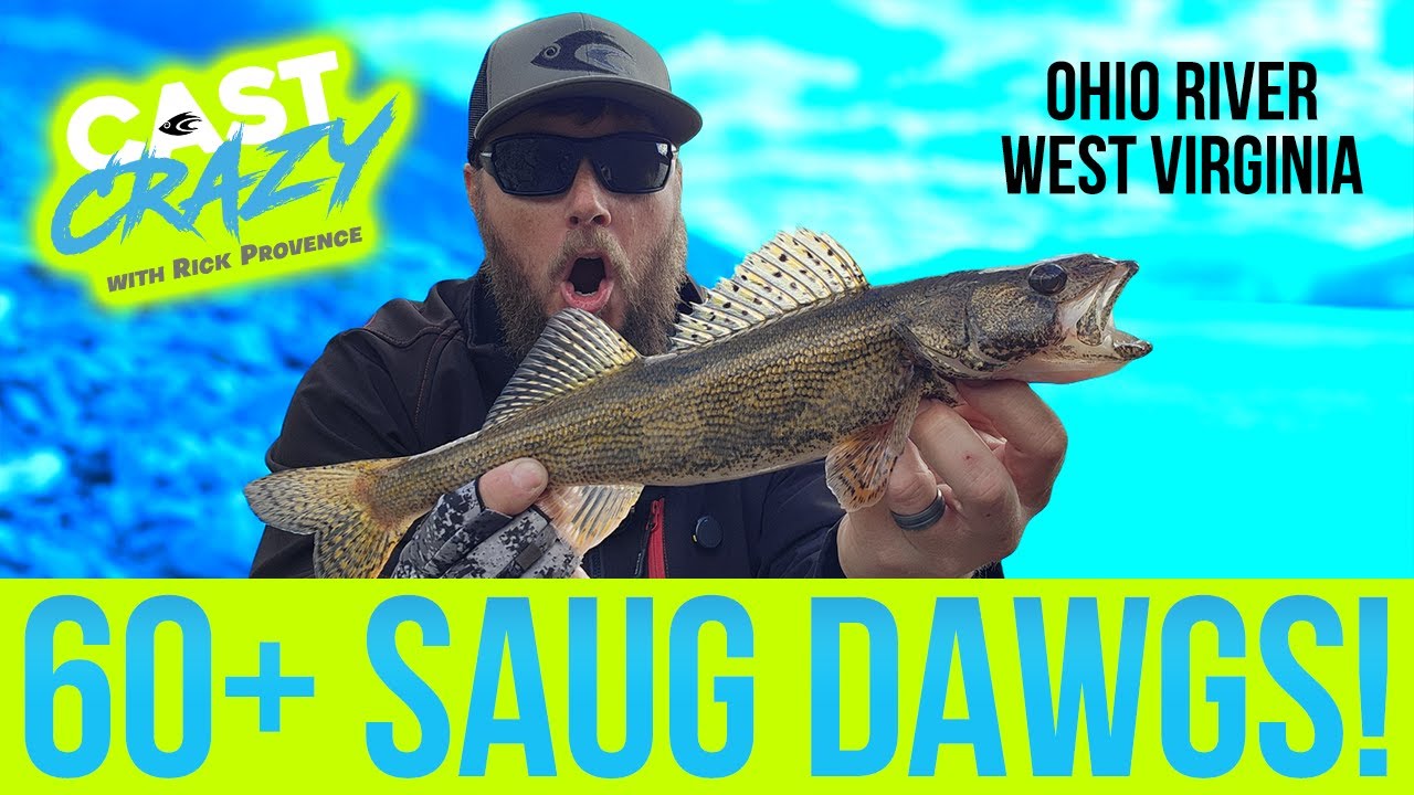 Fall WALLEYE and SAUGER on The Ohio River - YouTube