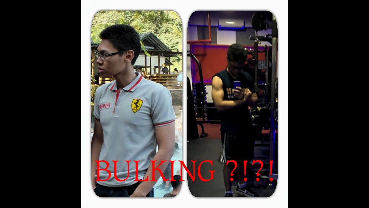 Cara menambah berat badan yang benar l BULKING 101 l Informative - YouTube