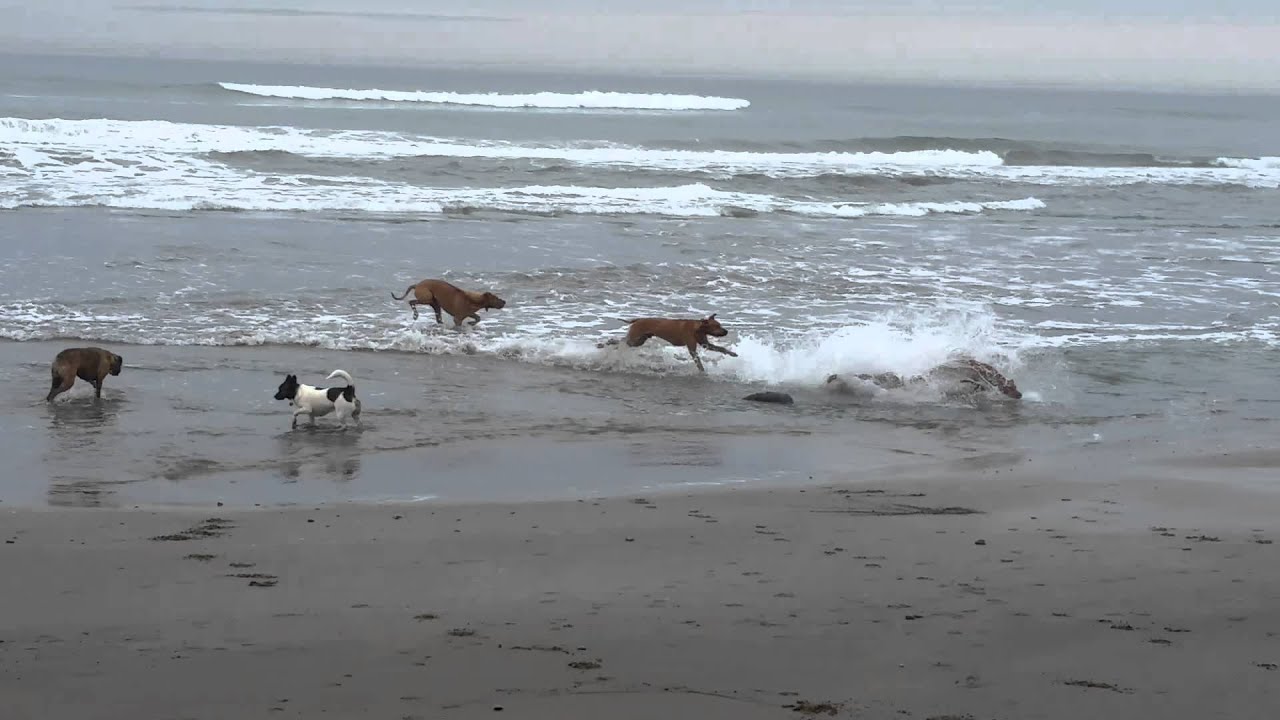 3/16 Ace Rudy Free Vivian Tiga Marlo Char Mackey - YouTube