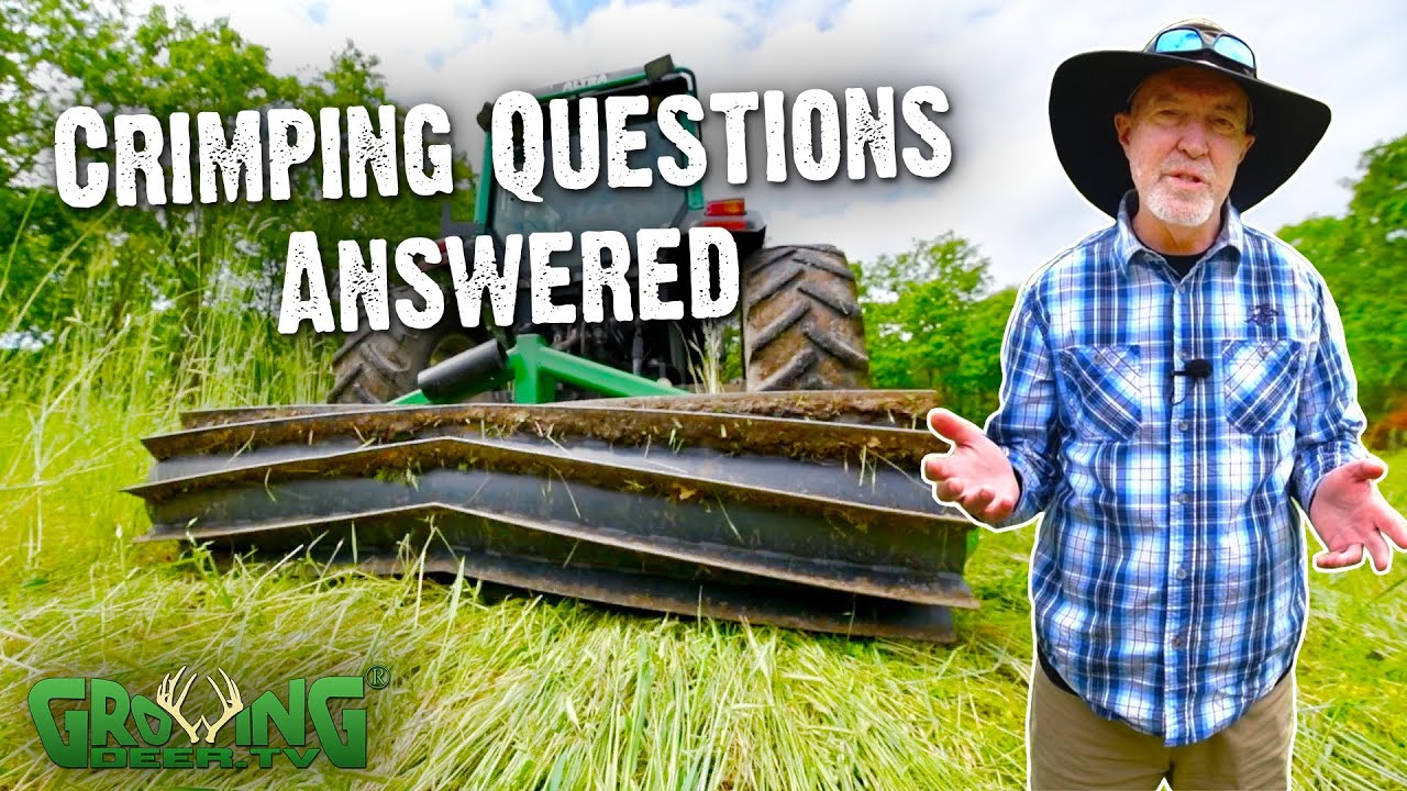 Crimping: How to terminate standing crops - YouTube