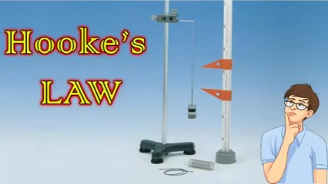 Verify the Hook's Law spring constant Elastic hysteresis applied ...