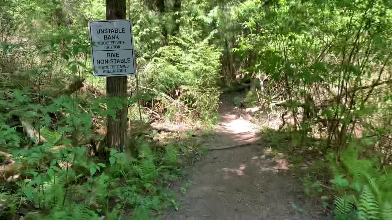 Whitevale hiking May 24 2020 - YouTube