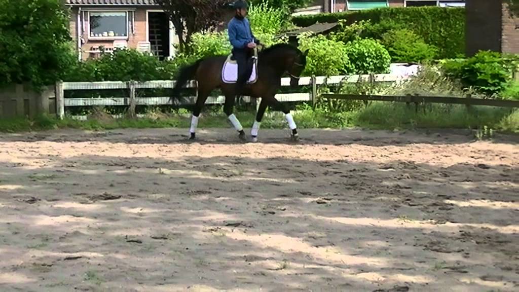 gallop dance with me - YouTube