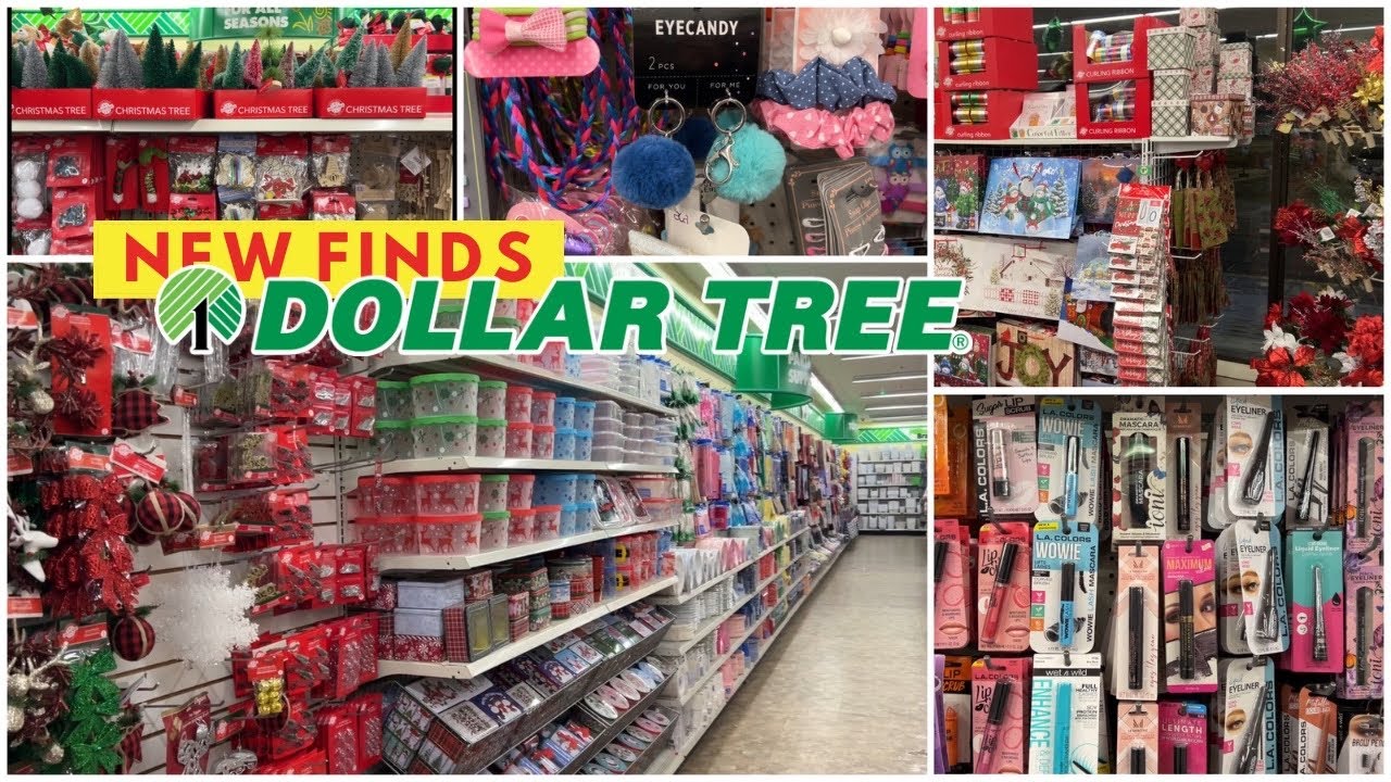 LONG Dollar Tree SHOP NEW FINDS - Go IT