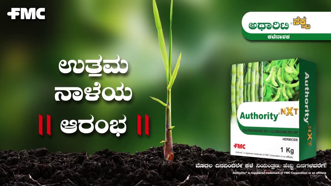 Authority NXT sugarcane - Walkthrough AV kannada - YouTube