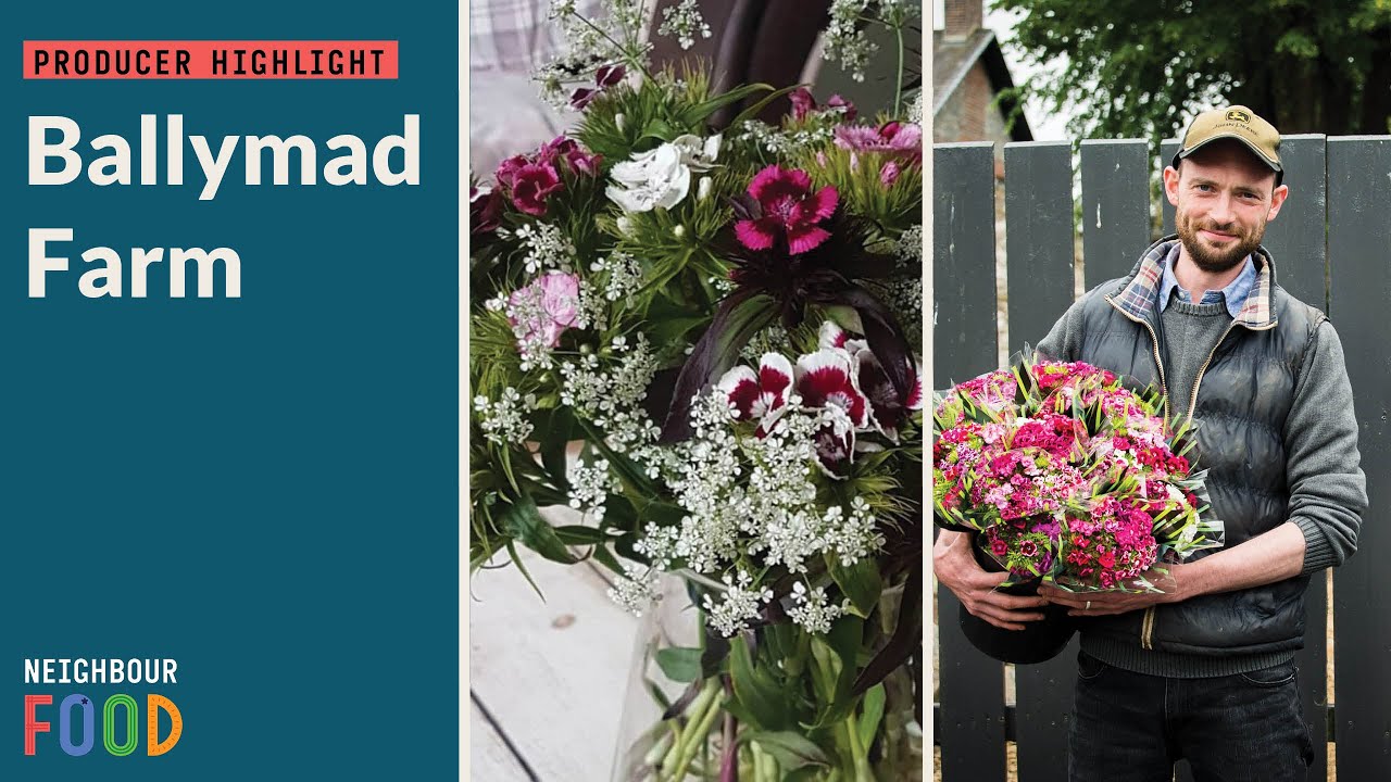 Ballymad Farm - YouTube