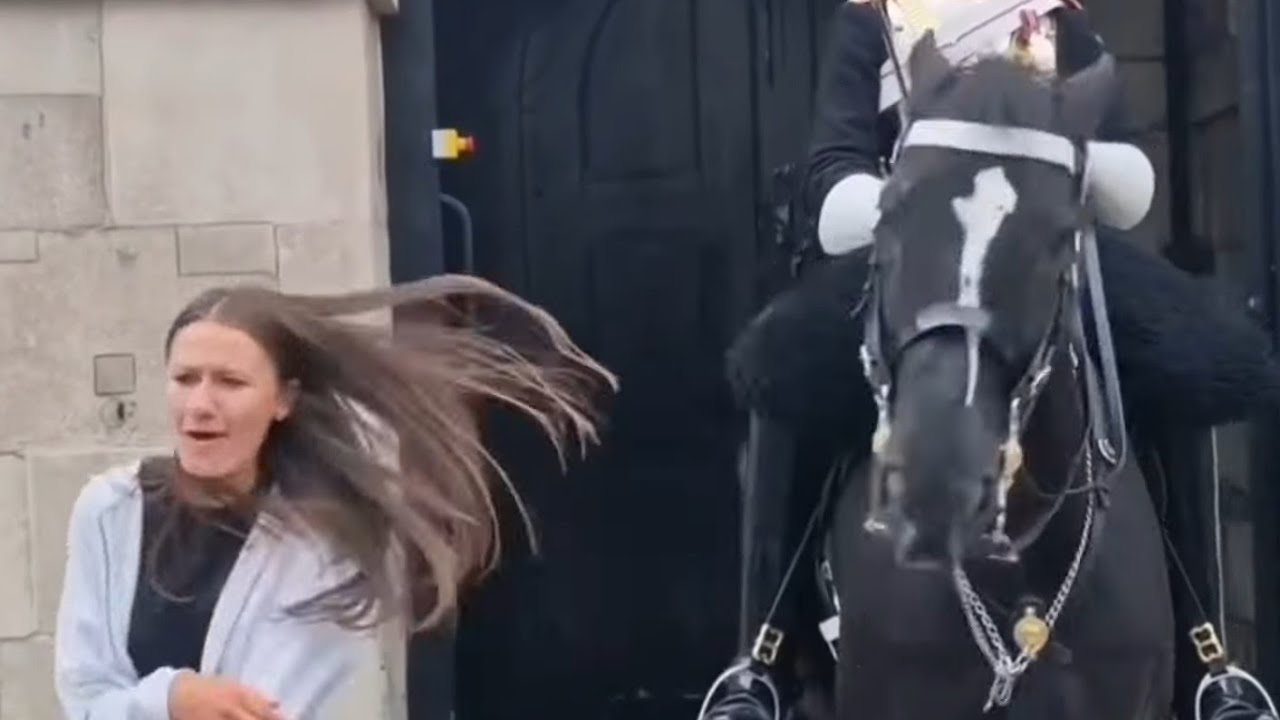 SOME OF THE BEST BAD BEHAVIOUR MOMENTS FROM HORSES AT HORSE GUARDS ️ 😆 ...