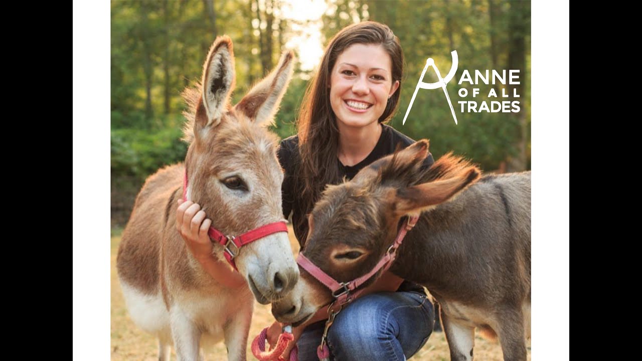 Anne of All Trades - All About Homesteading - YouTube