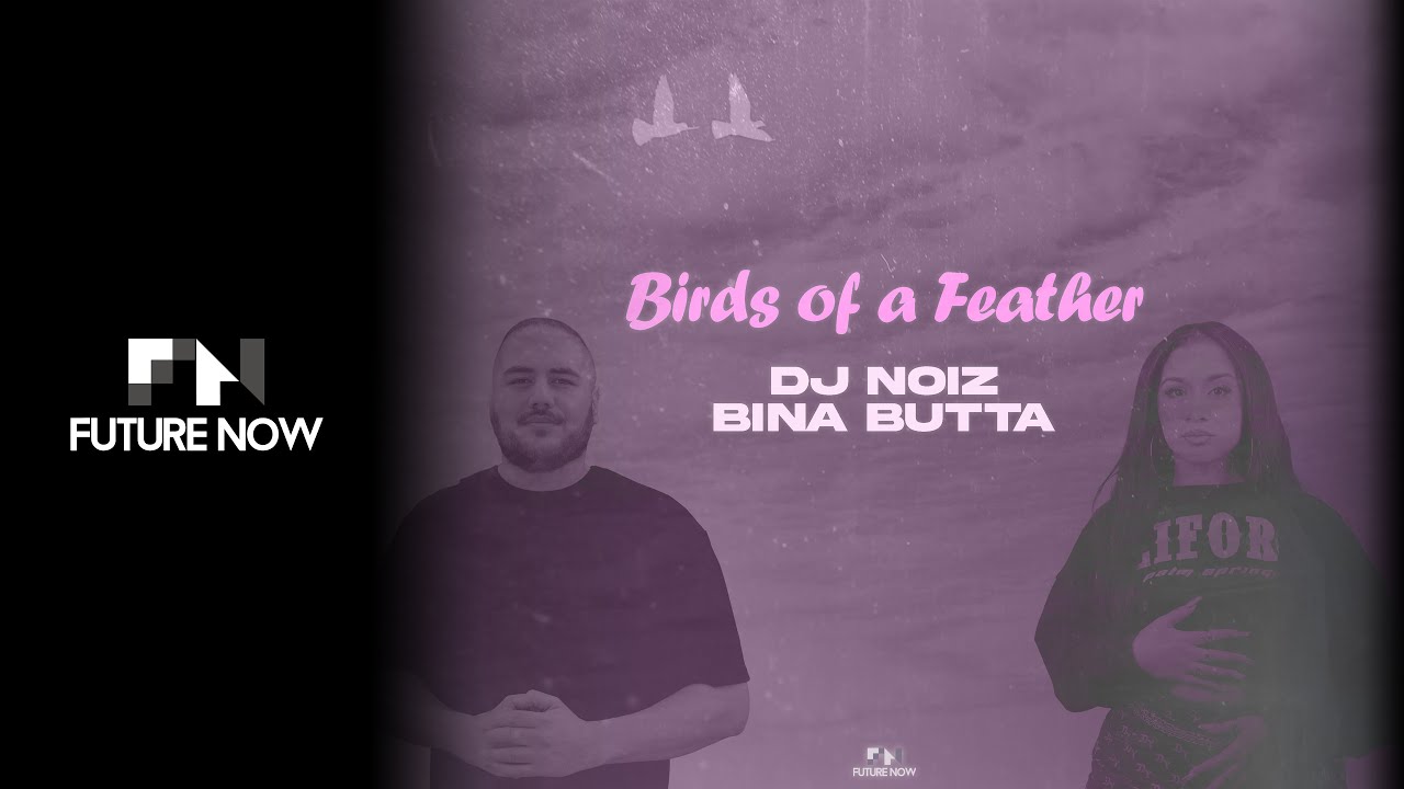 DJ Noiz & Bina Butta - Birds of a Feather (Audio) - YouTube Music