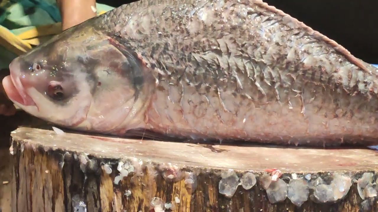 Amazing Fast Big Katla Carp Fish Cutting Live In Fish Market | Fish ...