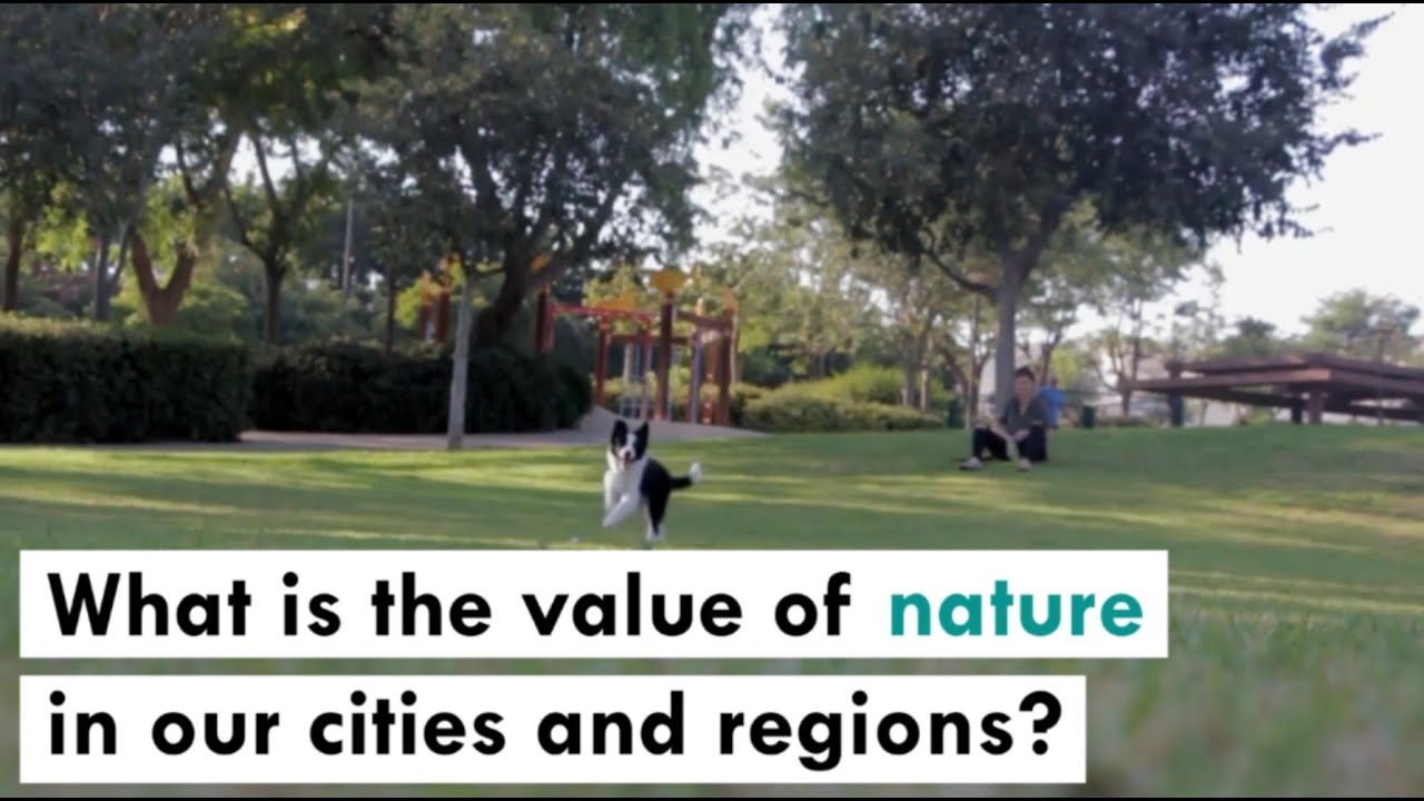 What is the value of nature in our cities and regions? - YouTube