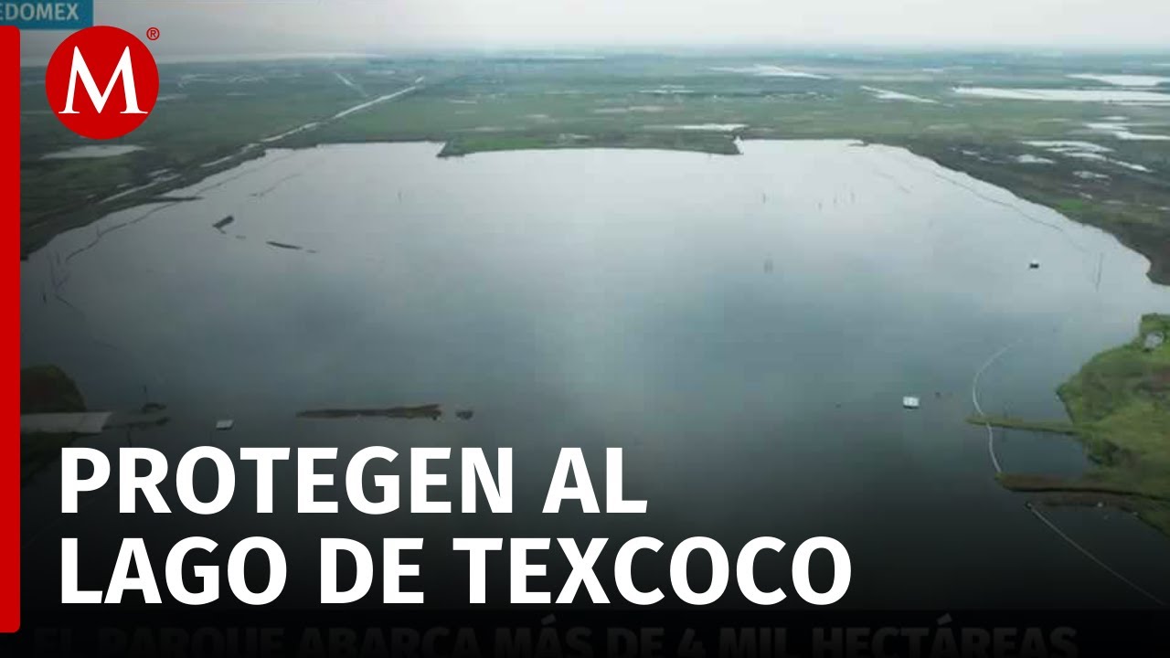 Recuperación del antiguo lago de Texcoco avanza con inundaciones ...