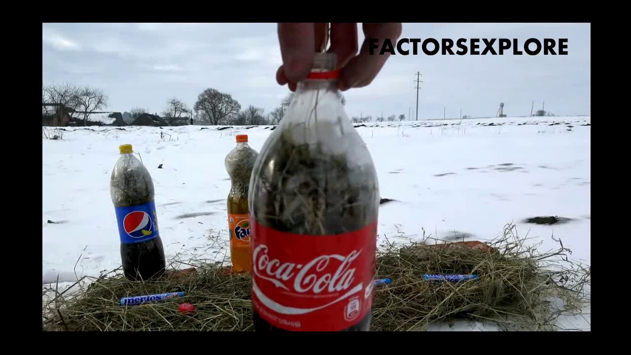 what happens when we drop 100 mentos in closed coca cola bottle ...
