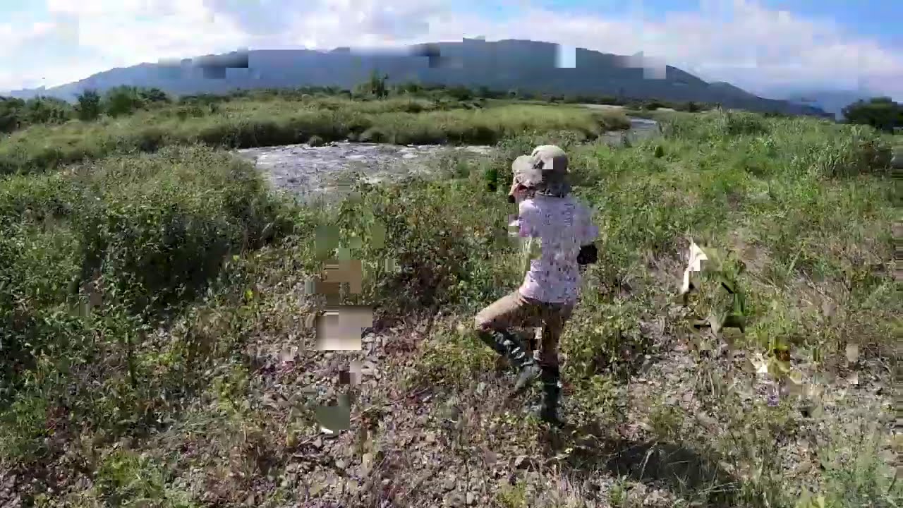 ELHEW POINTER - YouTube