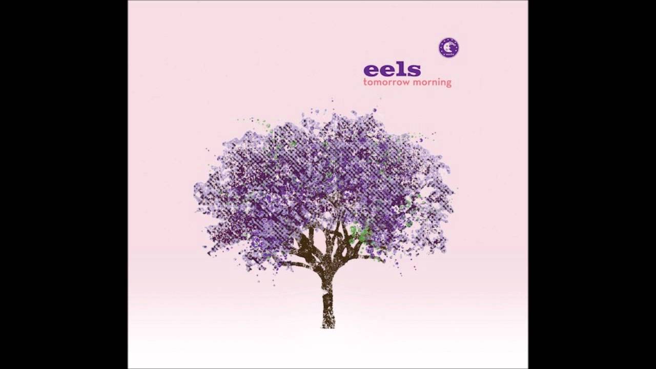 Eels - In Gratitude For This Magnificent Day - Tomorrow Morning 01 ...