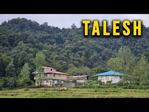 🌿 Hidden Paradise in Talesh, Iran – The Most Beautiful Village You’ve Never Seen!