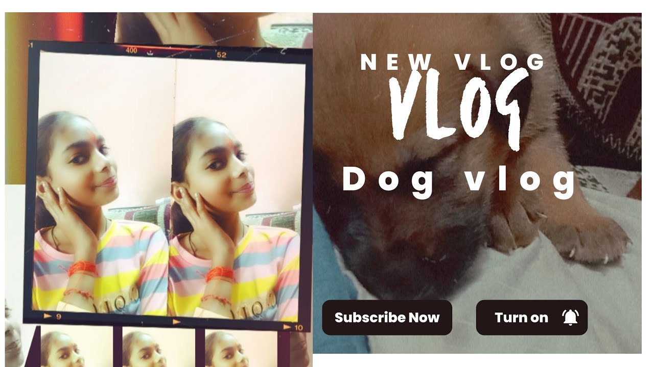 My first vlog | dog vlog | popat ho Gaya Aaj toh vaccine he nhi lagi rosie ko.🤦 - YouTube
