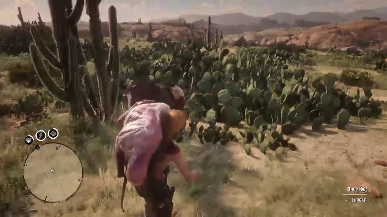 Rdr2 Online Hunting - YouTube