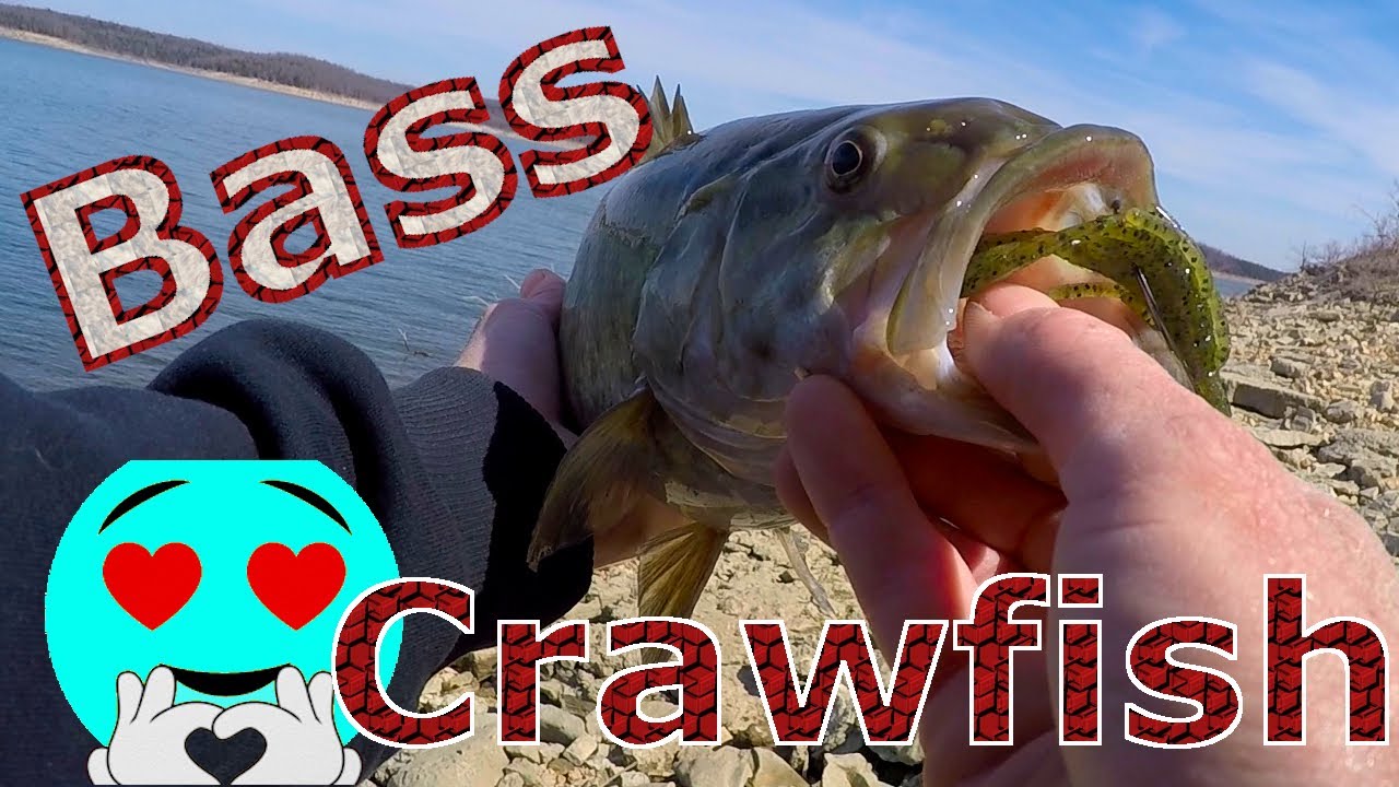 Bank Fishing For Late Winter Bass - How To Rig Crawfish Lures For Bass ...