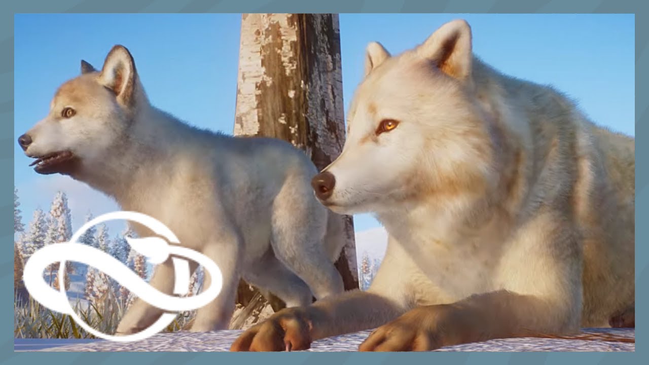 Planet Zoo 🦌Reindeer and 🐺Arctic Wolf showcase analysis and discussion ...