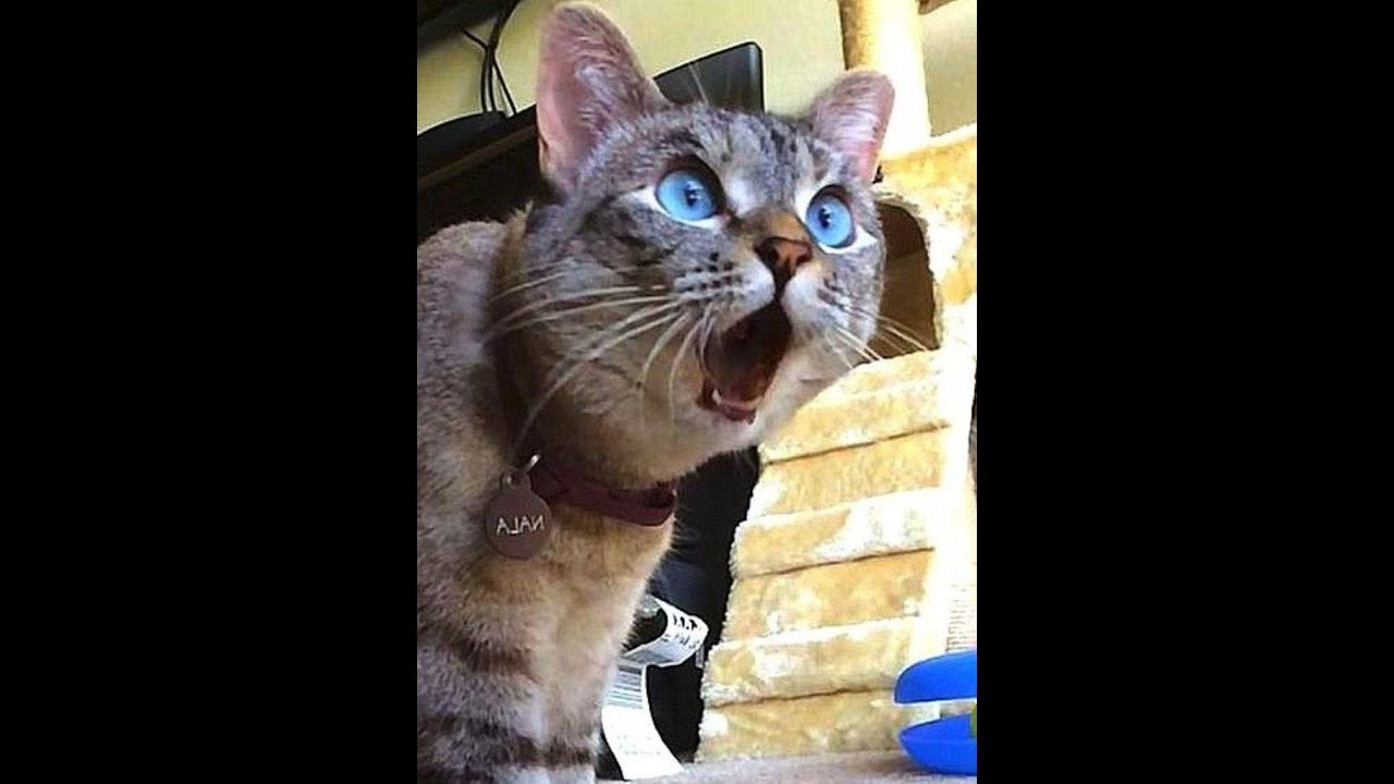 10 WEIRD THINGS CAUGHT ON SECURITY CAMERAS & CCTV - YouTube