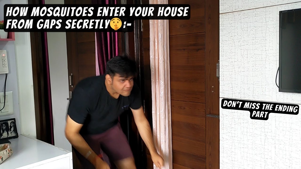 How Mosquitoes enter your house from gaps SECRETLY😂 (Wait for the end ...