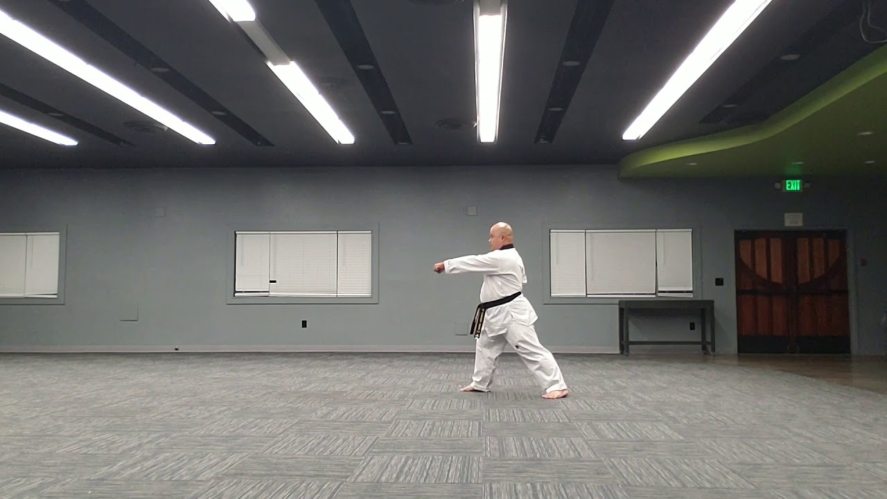 Taegeuk Sam Jang Explained (Purple Belt) - YouTube