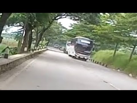 Ada Bus Telolet Besar dan mobil truk Oleng yang besar - YouTube