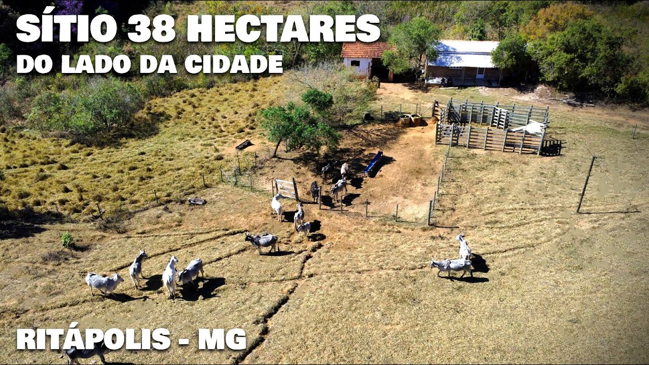 SÍTIO 38,9 HECTARES AO LADO DA CIDADE (VENDIDO) - YouTube