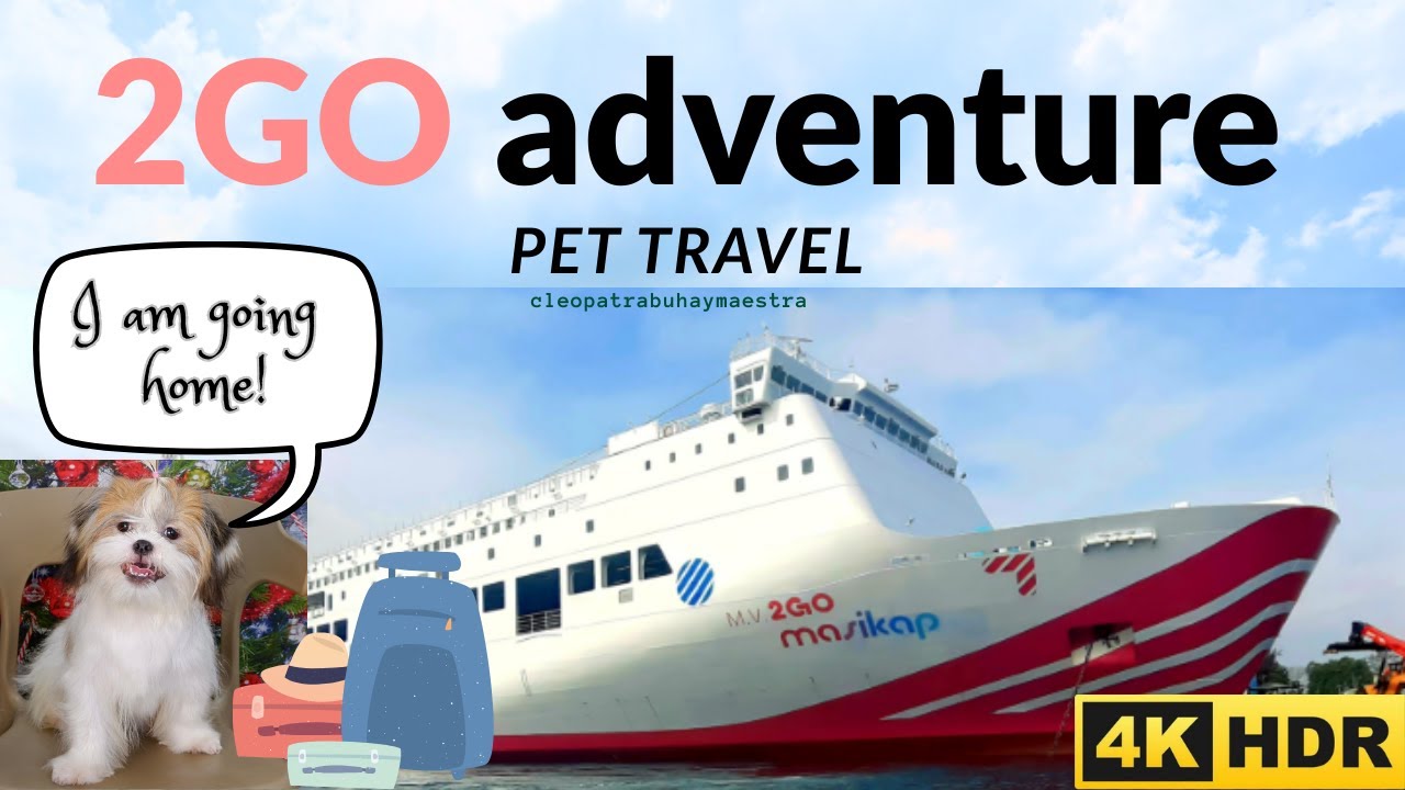 FIRST TIME on 2GO Travel! Manila to Davao with our Dog Bella - YouTube