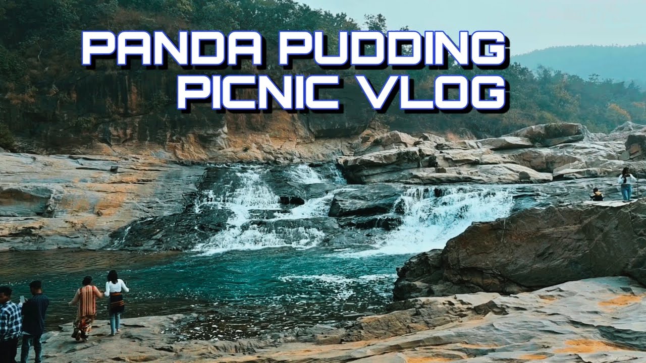PANDA PUDDING | PICNIC VLOG | 2023🔥😎 - YouTube