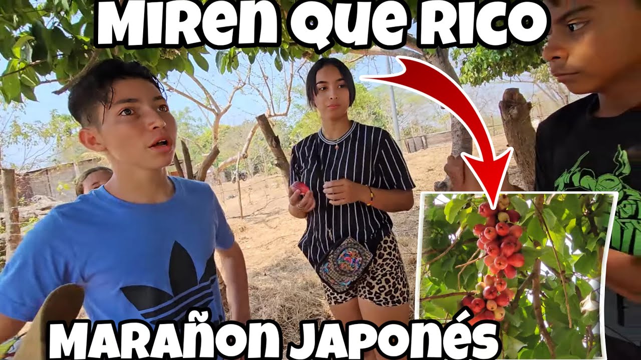 Jessica Prueba por primer ves marañon Japonés 🤤 - YouTube