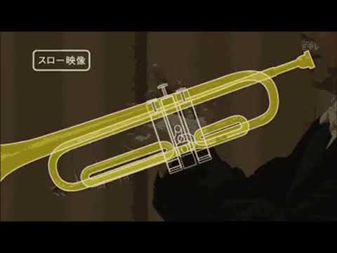 This is how a Trumpet works - YouTube