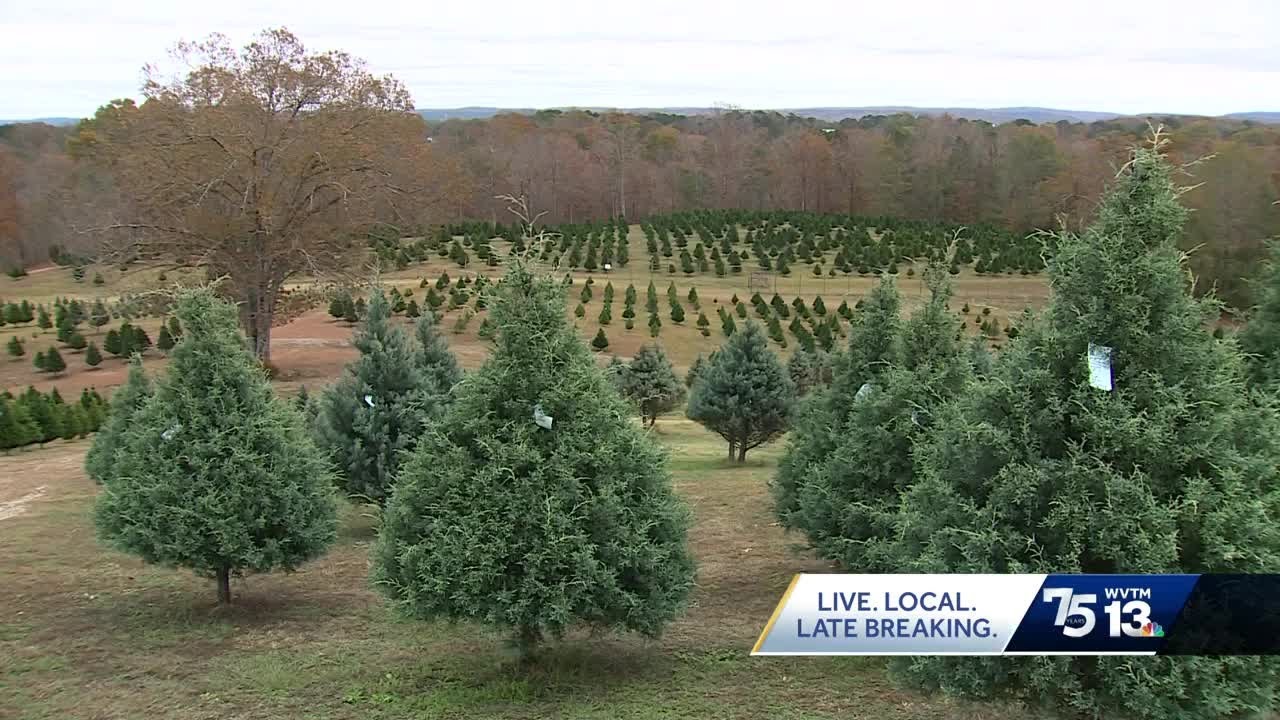 Beavers Christmas Tree Farm expects to meet sales numbers despite cold ...