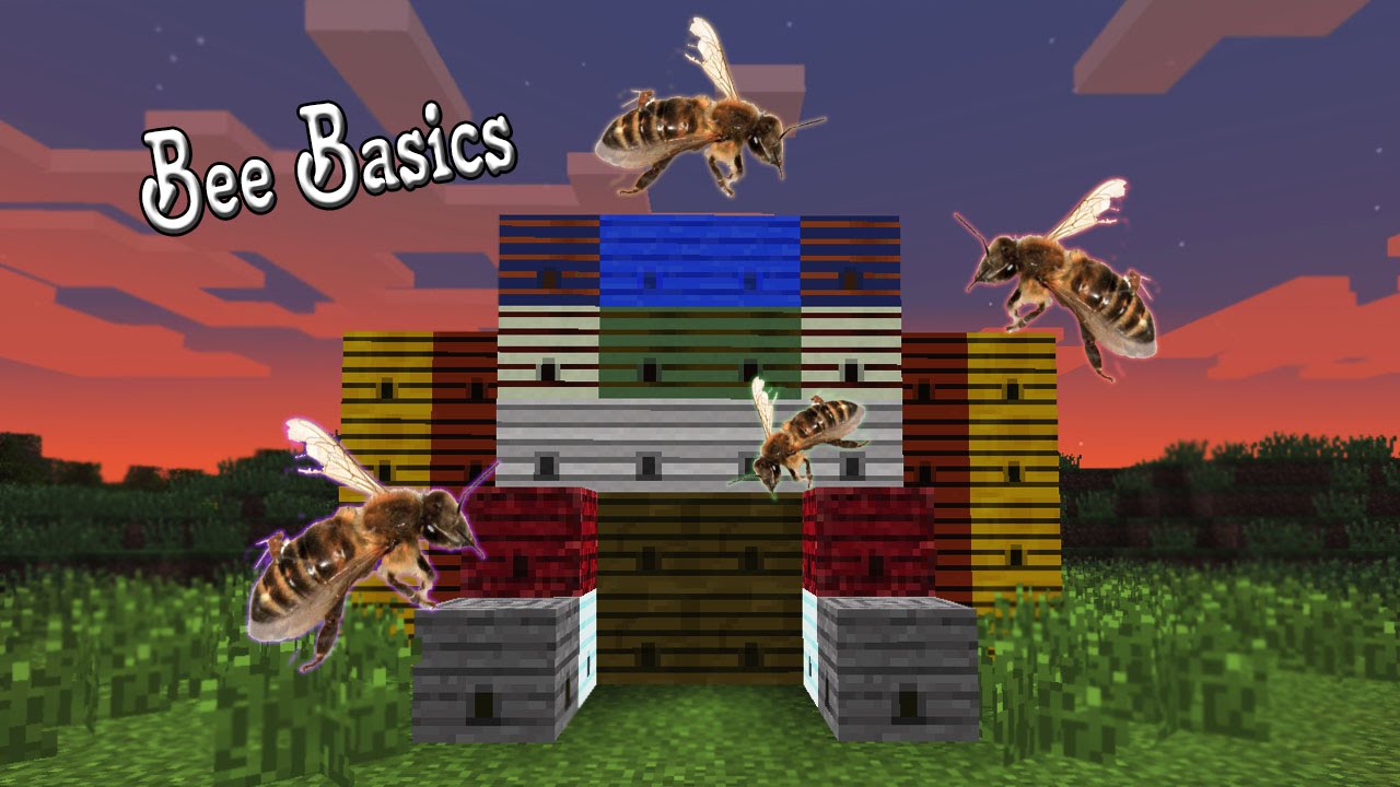 Awkward Tutorials: Bee Basics - YouTube