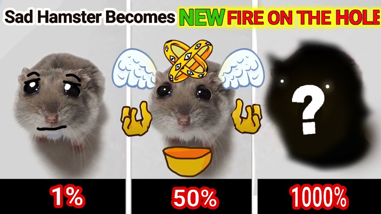 Sad Hamster Becomes New FIRE ON THE HOLE - YouTube
