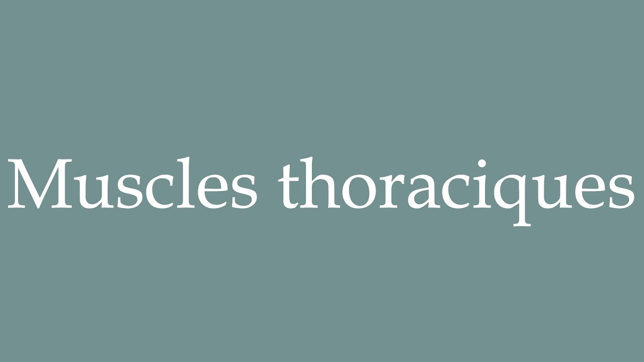 How to Pronounce ''Muscles thoraciques'' (Chest muscles) Correctly in ...