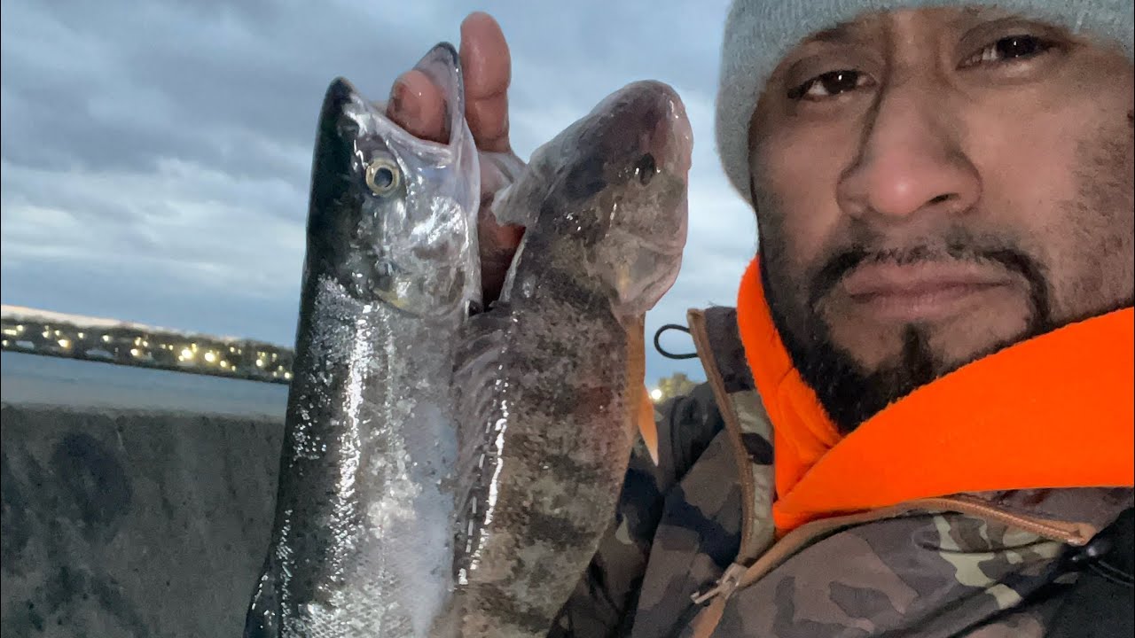LAKE MICHIGAN COHO SALMON & PERCH - YouTube
