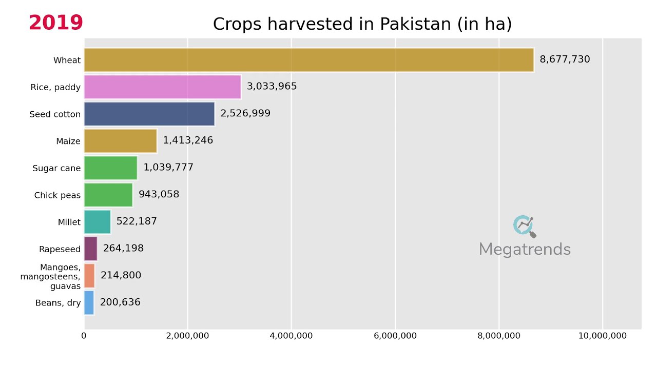 Top 10 Crops harvested in Pakistan (1961 - 2019) - YouTube