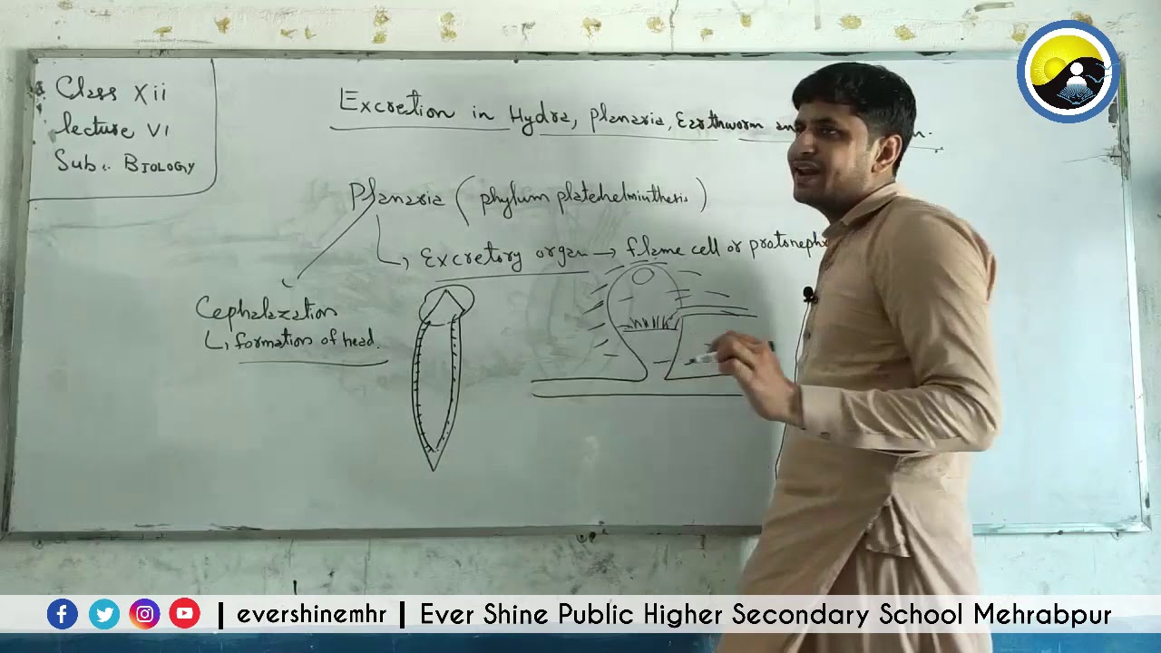Class Inter | Biology | Lecture No: 06 | Excretion in Hydra, Planaria ...