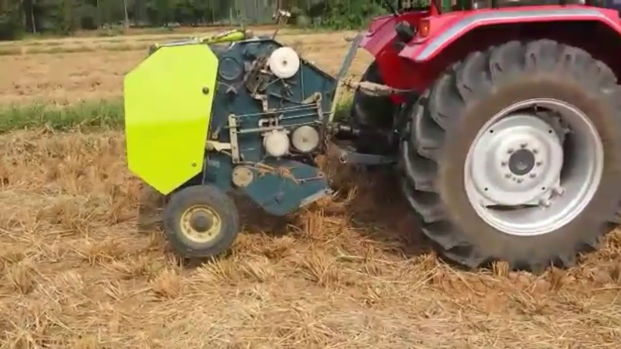 paddy dry grass rolling - YouTube