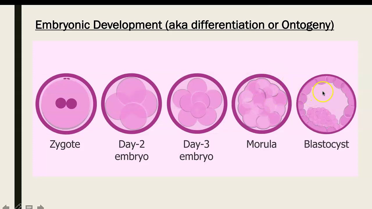 Functions and Requirements of Human Life - YouTube