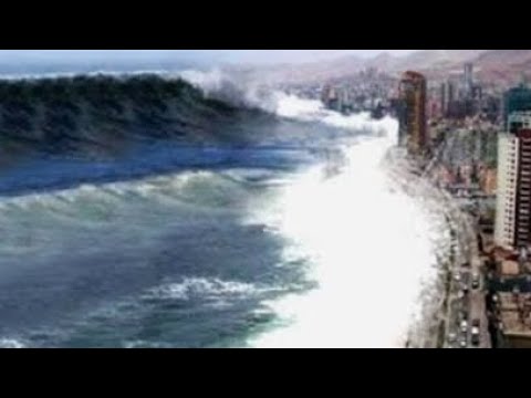 Tsunami Kaçın Geliyor