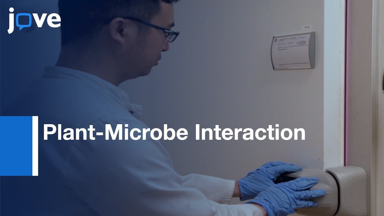 Transcriptional Response Of Bacillus Mycoides To Potato Root Exudates ...