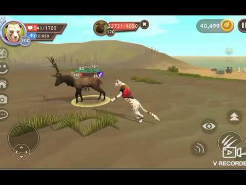Wildcraft | killing clan bosses | clan level 4 - YouTube